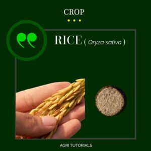 Soil : Healthy And Life-changing | ICAR Soil Classification - 8 Types ...