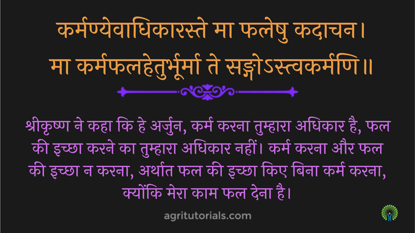 120+ Best Sanskrit Shlok With Hindi Meaning | Sanskrit Slokas (संस्कृत ...