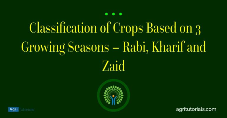 Classification of Crops Based on 3 Growing Seasons - Rabi, Kharif and ...
