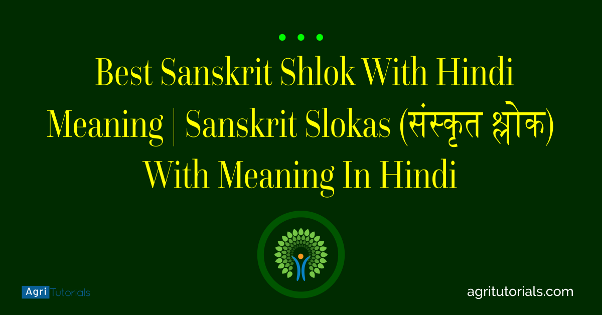 120 Best Sanskrit Shlok With Hindi Meaning Sanskrit Slokas 120 Best Sanskrit Shlok With Hindi Meaning Sanskrit Slokas